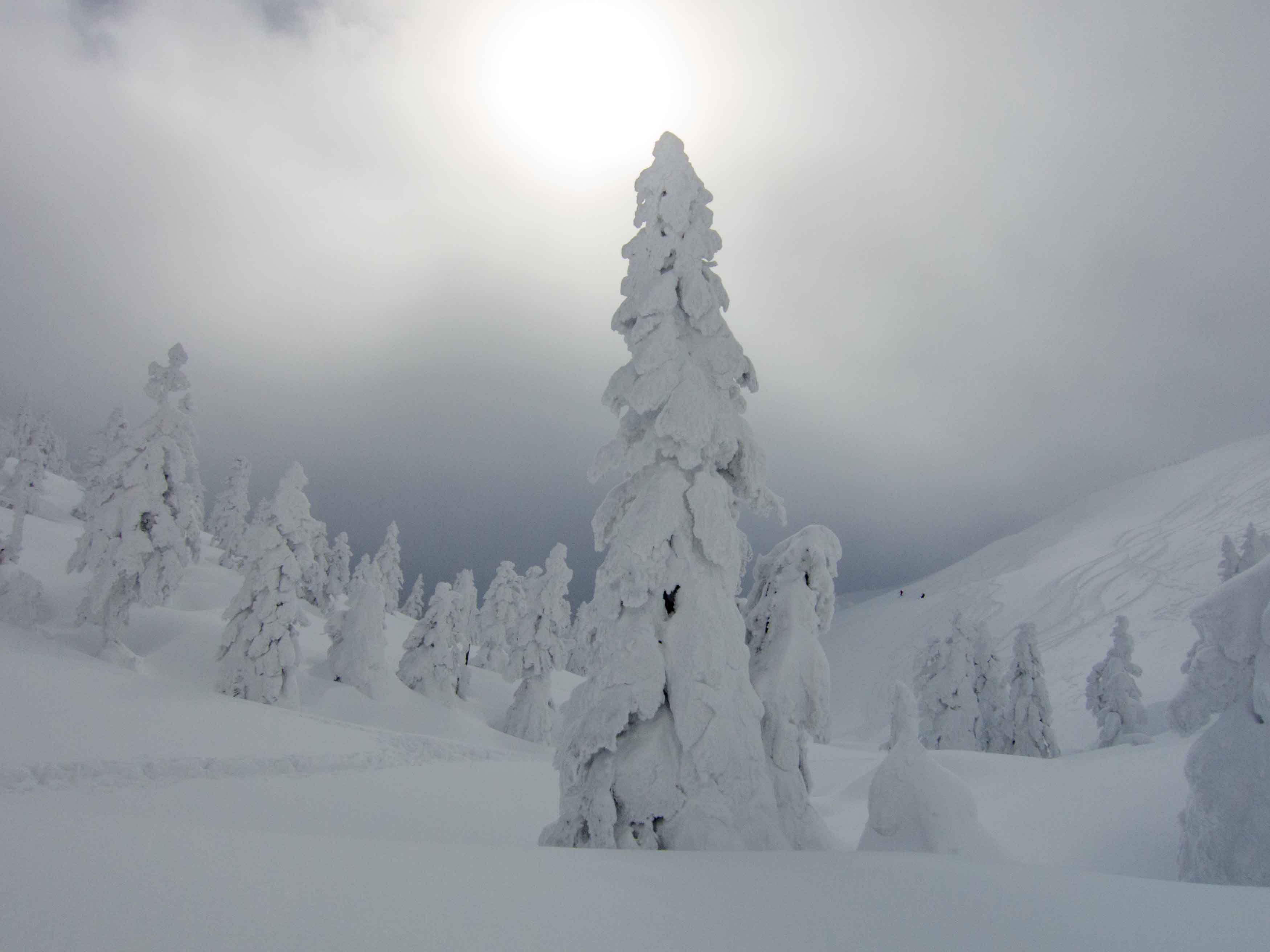 Japan under Five Meters of Snow – VOYAGISTA